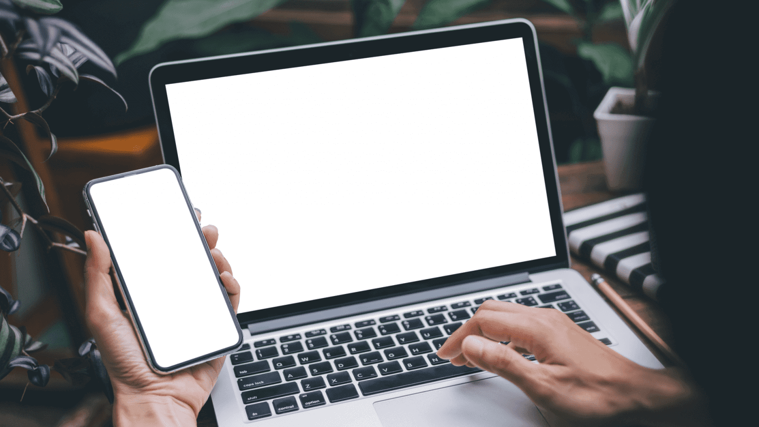 Mengenal Bisnis Database, Cara Memulai dan Mendapatkan Untung